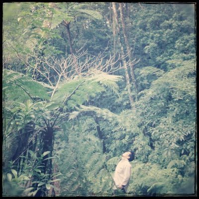 Yuri Horie (@jimnybb@mstdn.jp) - mstdn.jp